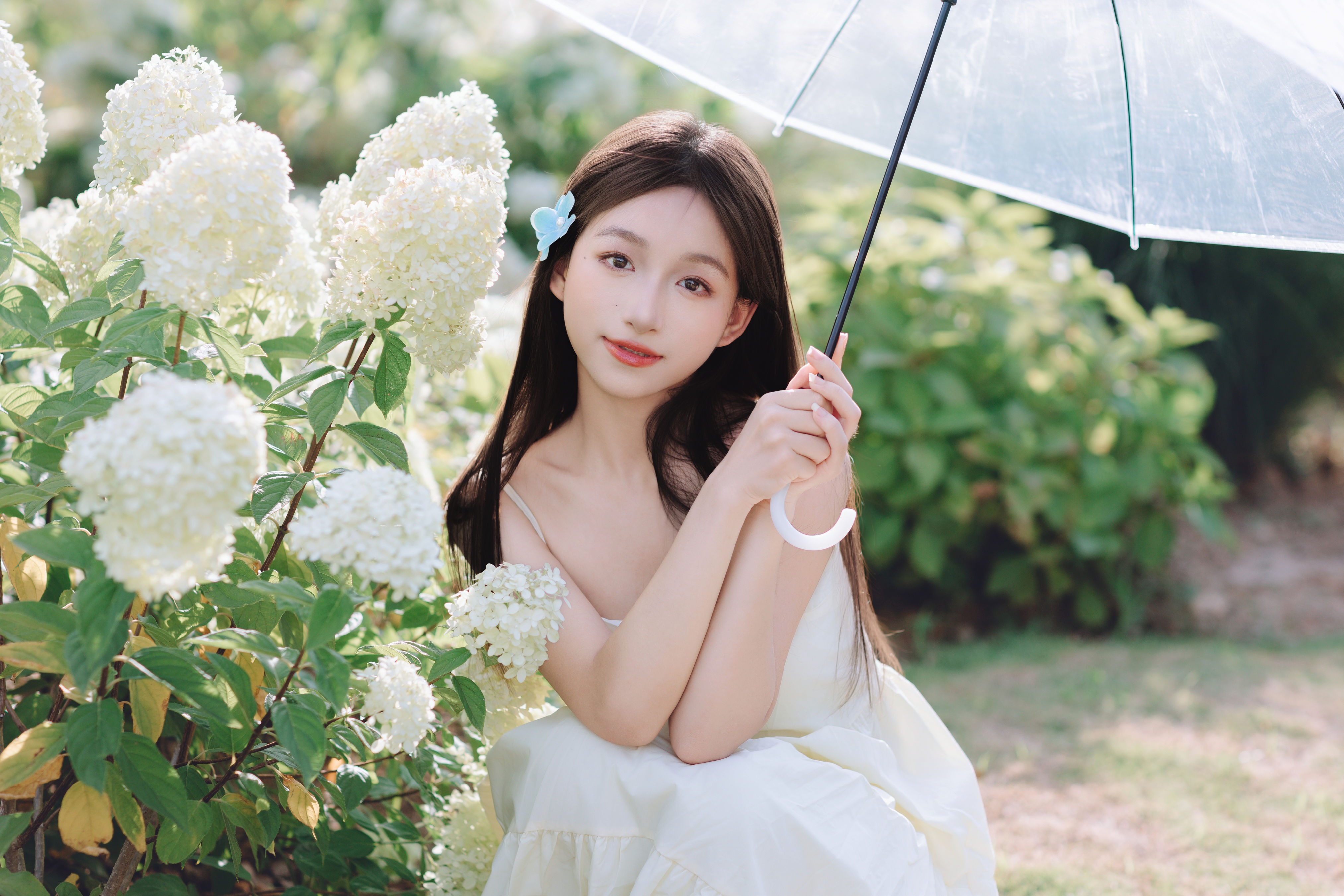 芥茉钰儿《夏日绣球》美图作品图片欣赏艺图语